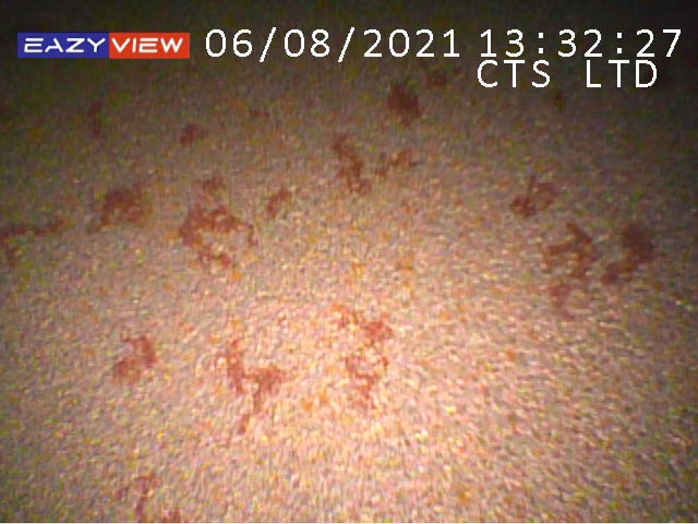 Inside a carbon fibre or steel cylinder